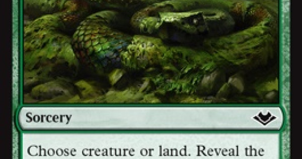 Winding Way (Modern Horizons)